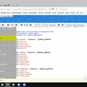 Ethical Hacking (Download Link) - eShikhon.com - ইশিখন.কম | Top Best Online Freelancing Training ...